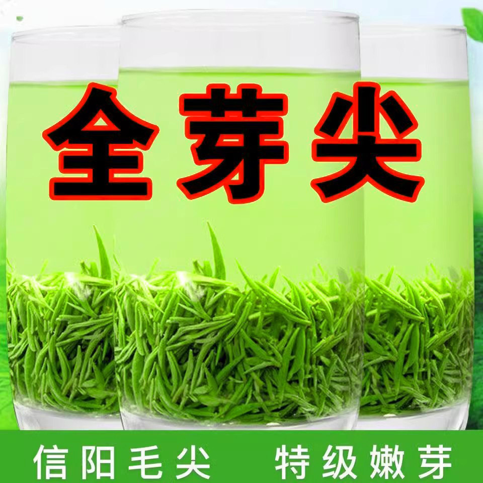 2026年新茶信阳毛尖茶叶明前嫩芽浓香型绿茶春茶自己喝口粮茶散装