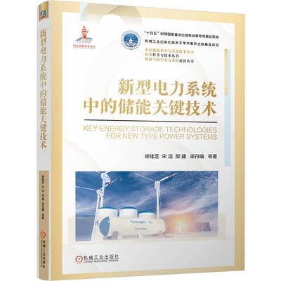 新型电力系统中的储能关键技术 徐桂芝 宋洁 郜捷 梁丹曦 电力储能电力系统调控经验书籍 智能电网新能源发电技术书籍