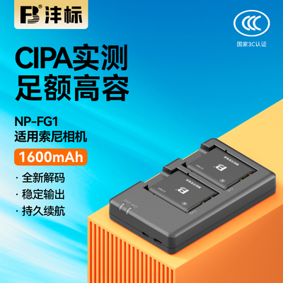 沣标NP-BG1/FG1相机电池适用索尼HX5C H7 HX7 WX1 T100 H90 HX30 HX5C HX9 W100 W220 sonyCCD电池充电器套装