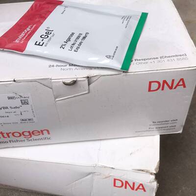 可维修赛默飞invitrogen G521802 DNA检测耗材