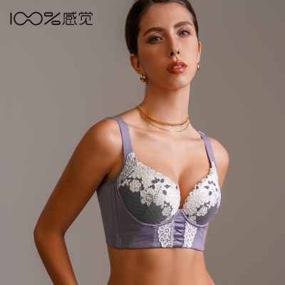 百分百感觉B杯中厚记忆钢圈聚拢调整型收副乳四排五扣内衣6062