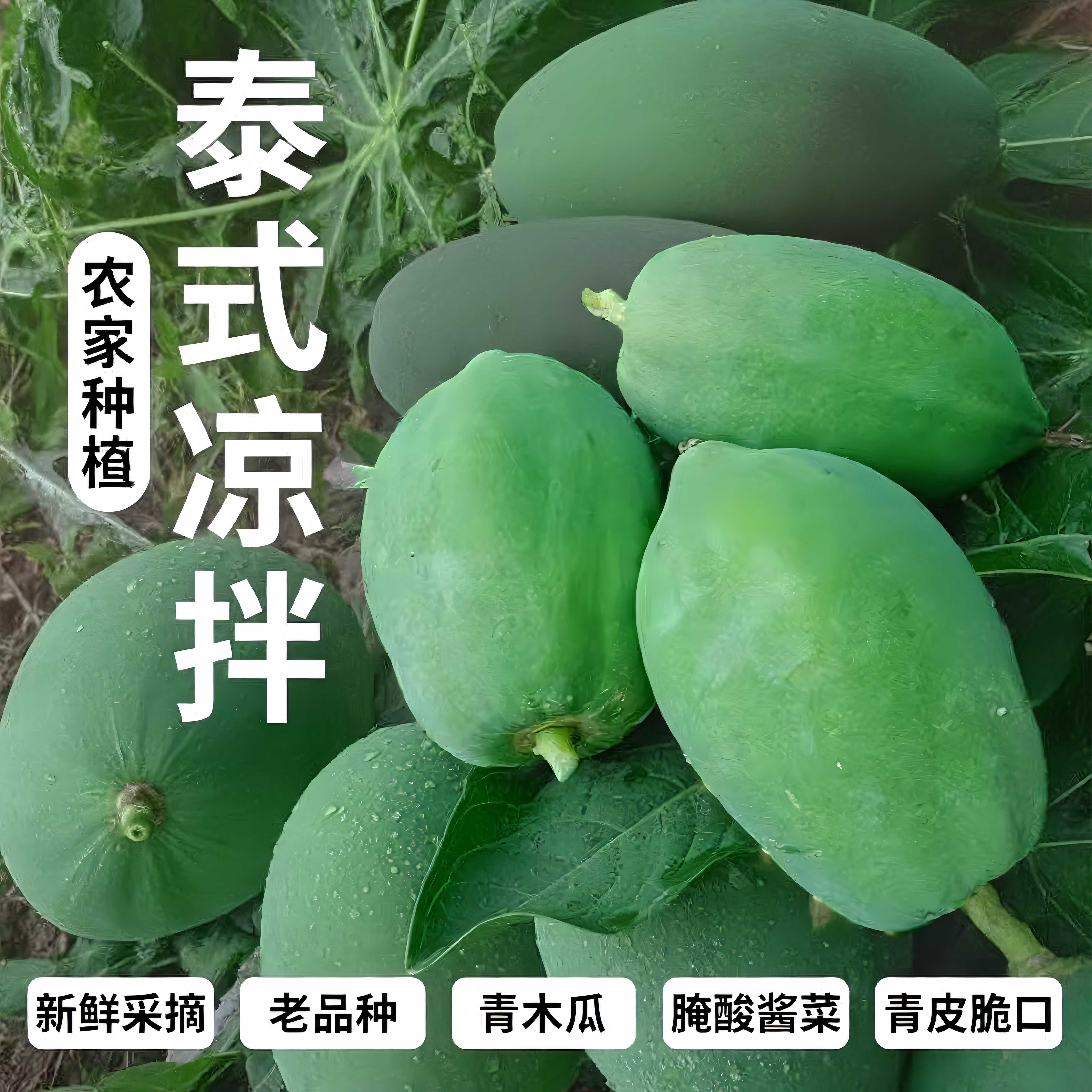广西新鲜青木瓜产妇下奶泰式凉拌蔬菜水果农家自种青皮生木瓜整箱