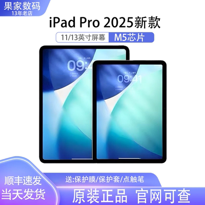 Apple/苹果 11 英寸 iPad Pro (2025)