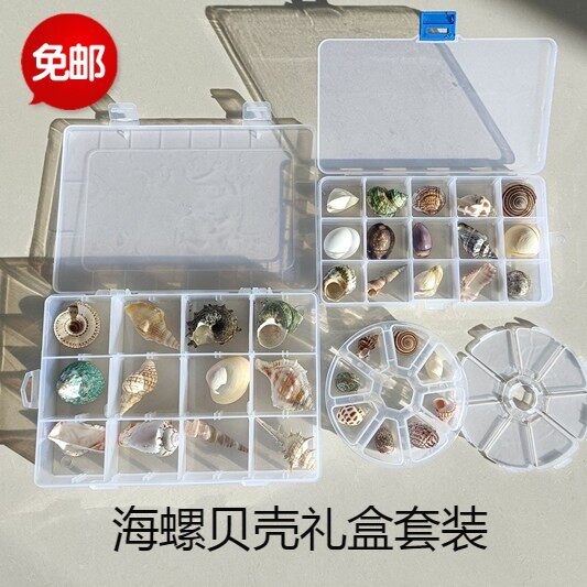 热卖天然海螺贝壳礼盒套装 儿童收藏礼品纪念品 鱼缸装饰摆件珊瑚