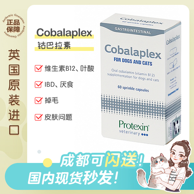 IBD钴巴拉素钴胺素掉毛犬猫叶酸