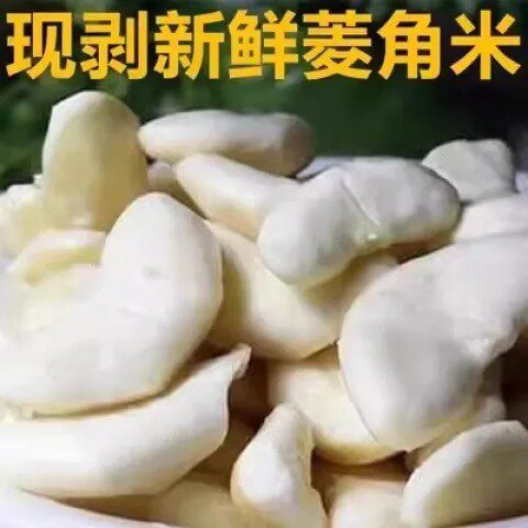 苏北特产溱湖农家新鲜野生小菱角米现剥菱角肉炒菜煲汤去壳菱角米