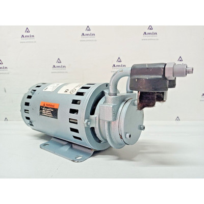 Pompa A Vano Rotante Gast 1531-107B-G289X 1/10 Hp, 220-240V