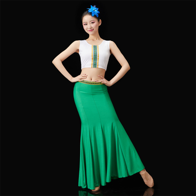 傣族舞蹈儿演出服装表演服傣族花腰服装女舞裙童舞鱼尾裙艺考服装