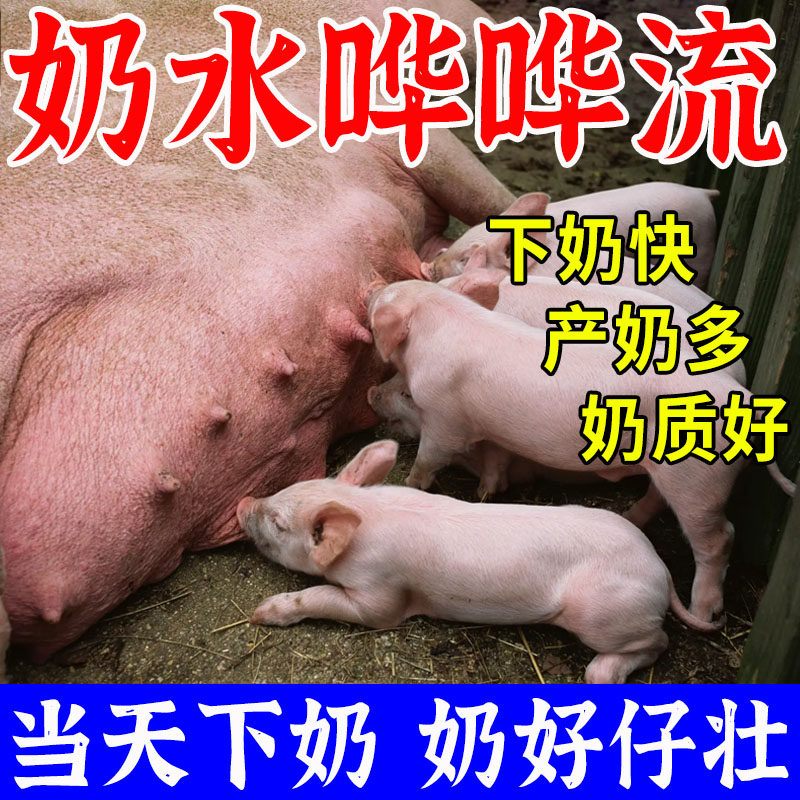 奶多多母猪正牌母猪产后无奶催乳涨下奶素正品猪下催奶奶多多猪用