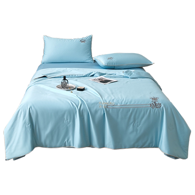 伊伊爱澳棉100支天雪大豆绣花夏被200*230cm/4斤 /BZ0TDC2301107