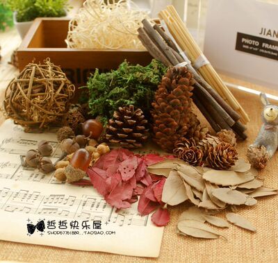 zakka松果干花道具树枝干枝装饰