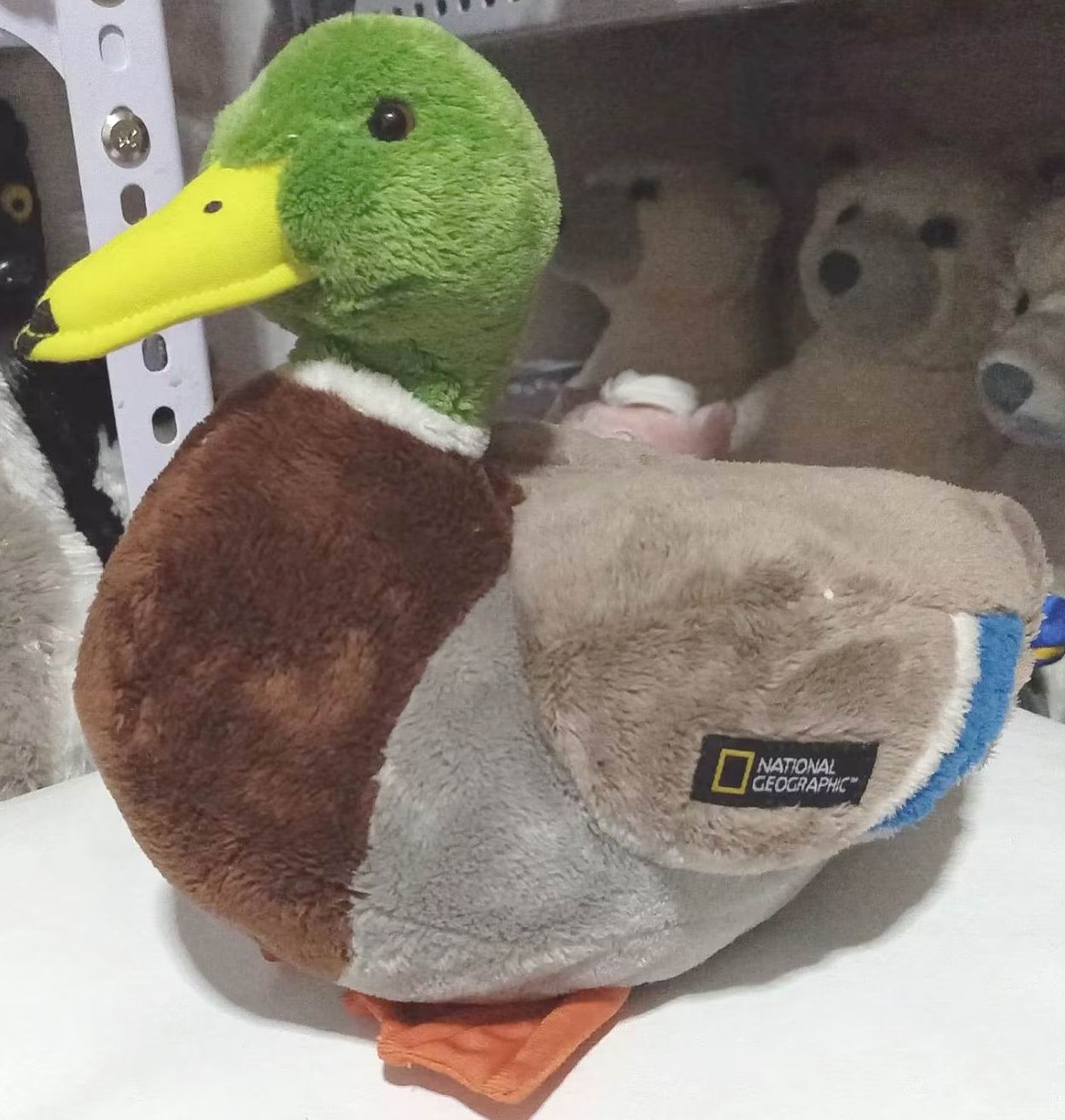 (代购)美国国家地理仿真绿头鸭mallard毛绒玩具公仔