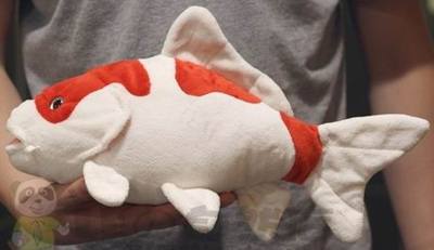 （代购）英国cabin critter仿真红白锦鲤鱼koi carp毛绒玩具公仔