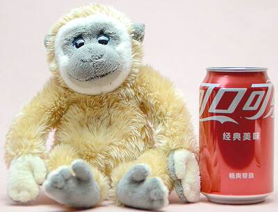 （定做）仿真白颊长臂猿gibbon毛绒玩具公仔