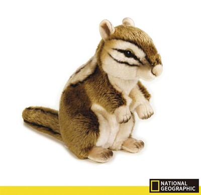 （现货+包邮）美国国家地理仿真花栗鼠chipmunk毛绒玩具公仔