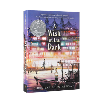 送音频英文原版小说A Wish in the Dark黑暗中的愿望2021年纽伯瑞银奖10-14岁中小学生英语课外阅读读物儿童奇幻情节故事