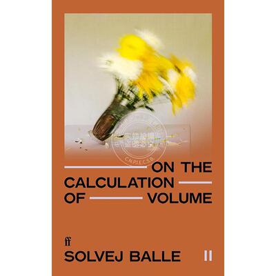 预售 空间时间之迷2 索尔薇・巴勒 Solvej Balle 布克国际奖长名单作品 英文原版 On the Calculation of Volume II