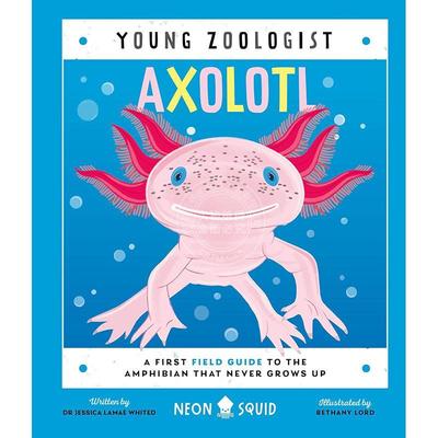 现货 墨西哥钝口螈 少年动物学家系列 永不长大的两栖动物入门指南 英文原版 Axolotl Young Zoologist 5-8岁