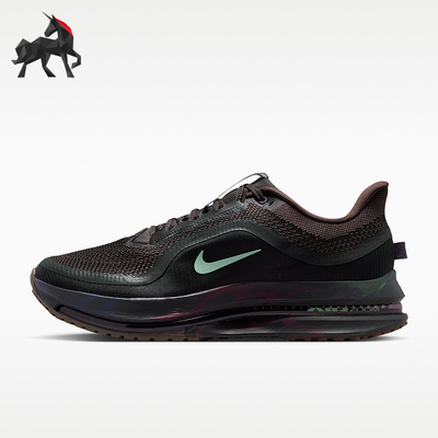 Nike/耐克正品PegasusPremium新款男经典公路鞋跑步鞋IR7546-030