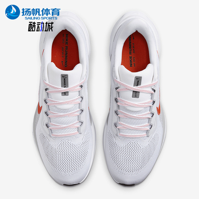 Nike/耐克正品Pegasus 41男士网眼透气经典运动跑步鞋FD2722-108