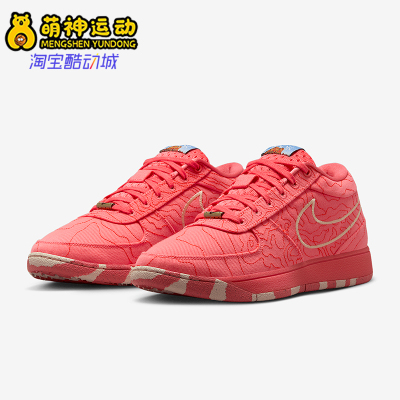 Nike/耐克正品Book 1男26夏耐磨缓震低帮运动篮球鞋IB8054-800