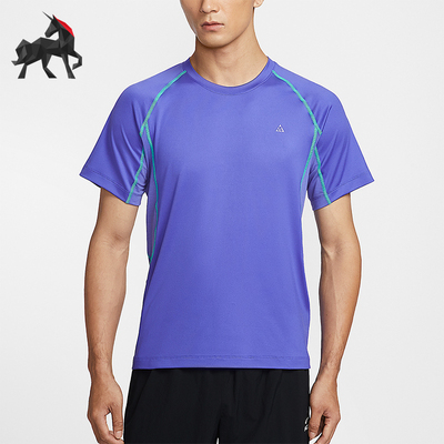 Nike/耐克正品Dri-FIT男士训练修身圆领经典短袖T恤IO1453-510
