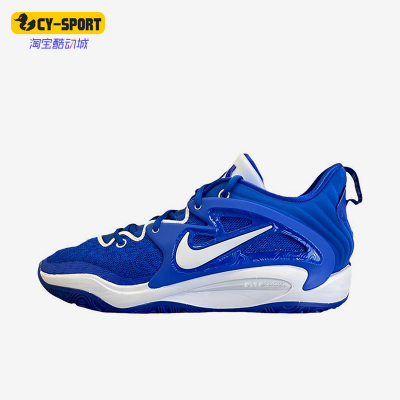 Nike/耐克正品PROMO男士运动耐磨缓震透气经典篮球鞋DX6648-400