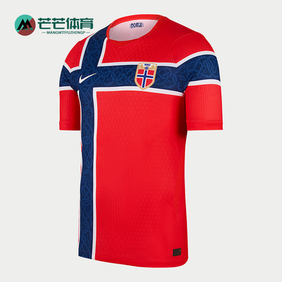 Nike/耐克正品男士主场透气套头圆领短袖足球衣IB5170-673