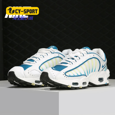 Nike/耐克正品女子气垫跑步鞋