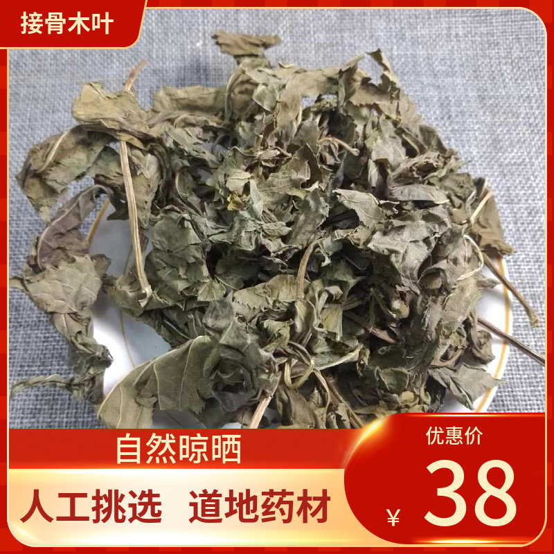 中药材 接骨木叶 500g接骨木叶子包邮中草药人工挑选