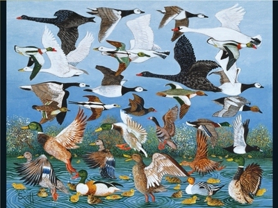 美国益智拼图现货包邮