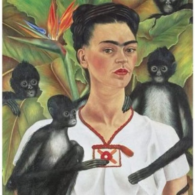 现货包邮 奥地利Piatnik进口名画拼图5509和猴子自画像1000片卡洛