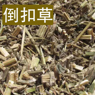 中药材散装四川倒扣草潽禧草堂