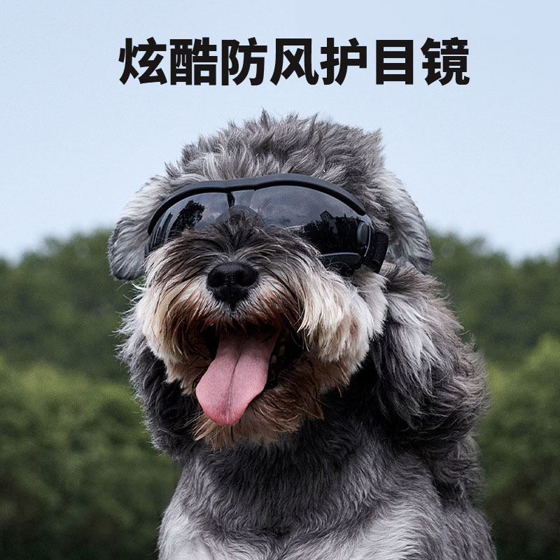 狗狗专用护目镜宠物雪纳瑞中小型犬骑行墨镜小狗防风防晒宠物眼镜