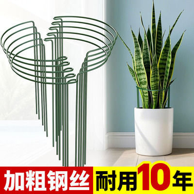 圆形防倒伏支架半圆花架支撑杆爬藤支撑铁艺龟背竹园艺植物支撑架