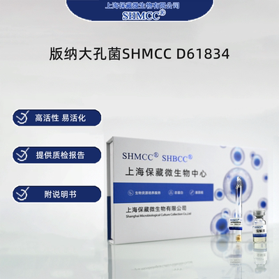 版纳大孔菌SHMCC D61834 0代标准菌种冻干粉