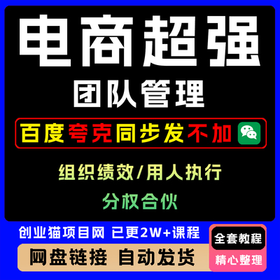 2025电商超强团队管理组织绩效到用人执行分权合伙