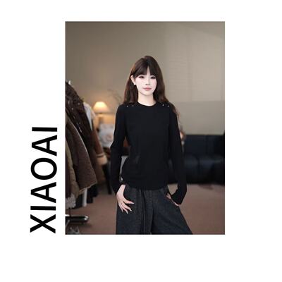 XIAOAI 磨毛加绒 2025秋冬新款小马印花显瘦百搭长袖T恤女F199