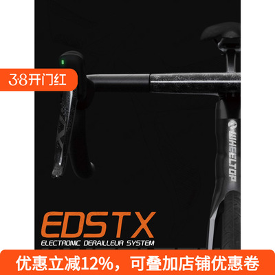 轮峰碳纤维无线电子变速圈刹油碟