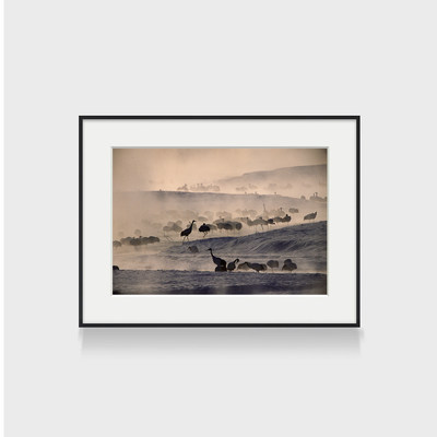 Randy Olson美国纪实摄影师装饰画摄影国家地理杂志彩色风景挂画