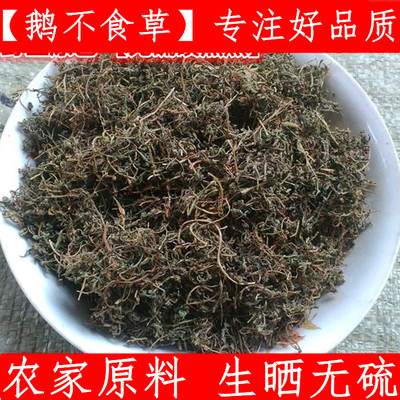 中药材新鲜无硫鹅不食草