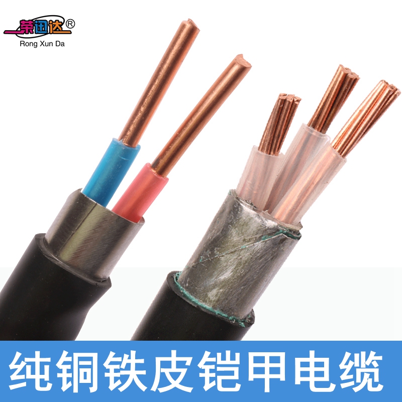 国标足米纯铜芯YJV22铠装2芯 4平方KVV22铠甲埋地动力控制线带铠_虎窝淘