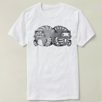 CuriosityPhysicsQuantumCatT男