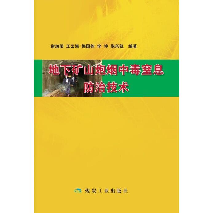 正版图书地下矿山炮烟中毒窒息防治技术谢旭阳等应急管理出版社书籍\/杂志\/报纸/工业/农业技术/矿业技术纸质书籍