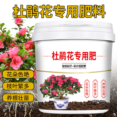 杜鹃花专用肥增根壮苗促花期颗粒缓释型生物菌肥全营养易吸收盆栽