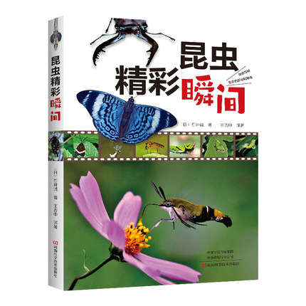 昆虫精彩瞬间 石井诚 探索昆虫的奥秘 昆虫百科全书大百科昆虫生活习性 杂虫飞虫甲虫班昆虫知识青少年阅读科普知识书籍