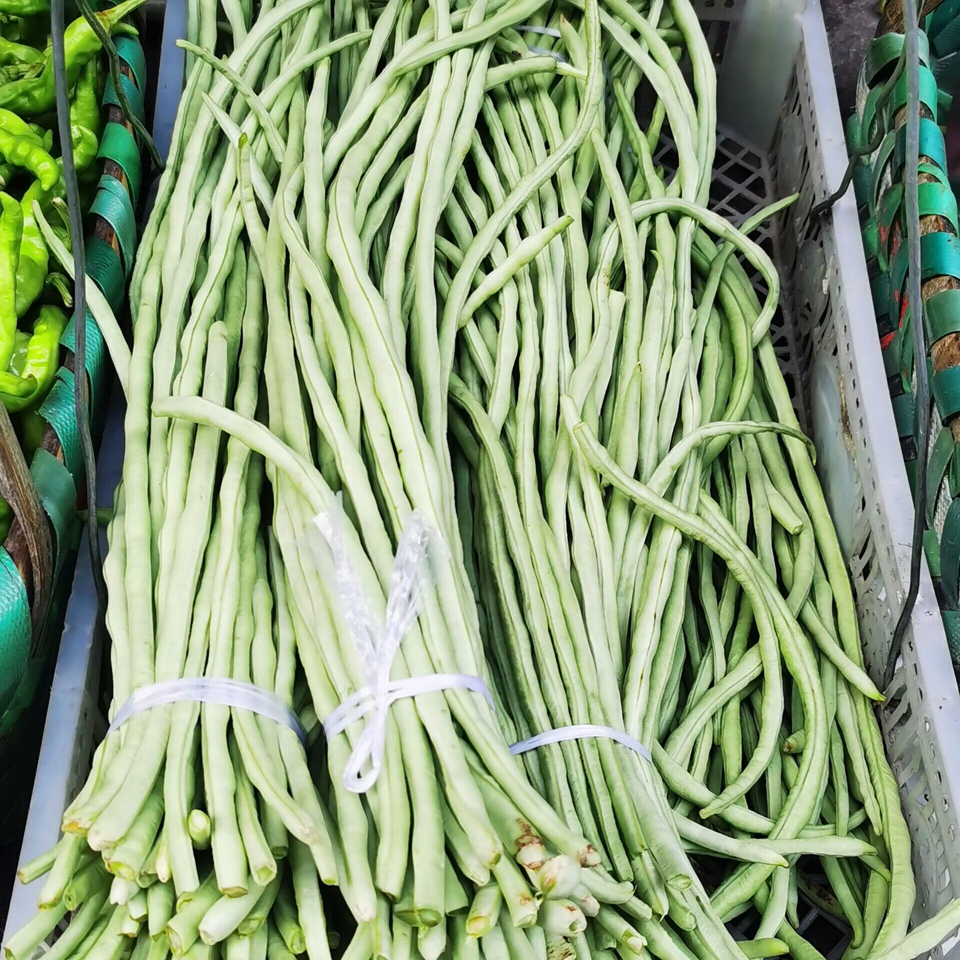 新鲜长豇豆 长豆角 豆角 500g 现摘发货 农家自种 泰顺特产第一店
