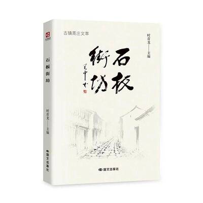 RT现货速发 石板街坊9787512522077 时育龙国文出版社小说书籍