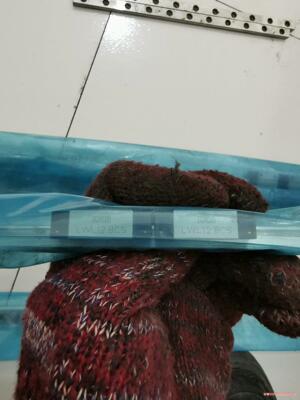 全新正品IKO滑轨滑块LWL12BCS、ML12滑块，实物拍(议价商品）