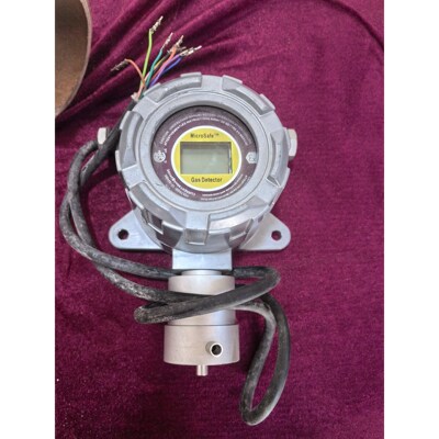 microsafe 在线式氨气检测仪FGD2N-2,测量范围骏营商贸—议价